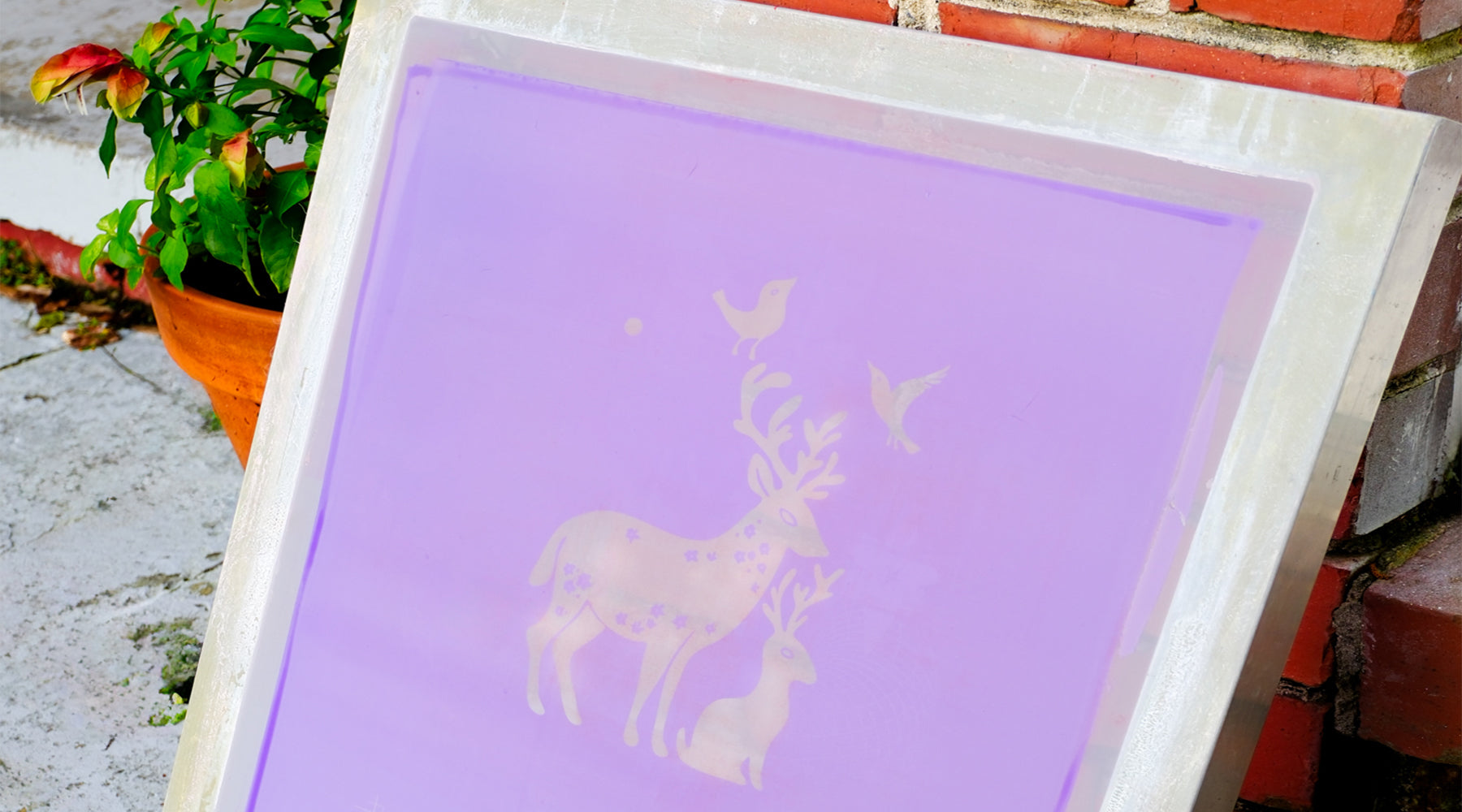 How to Post Expose your Screen Printing Stencils– Screen Print Direct